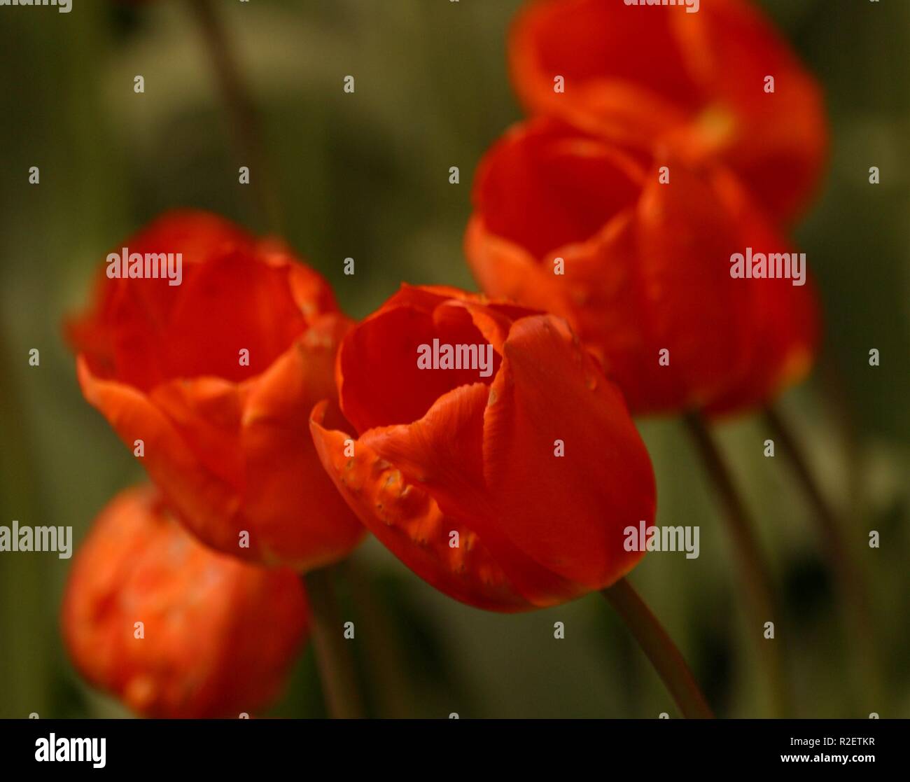 Toward to light hi-res stock photography and images - Alamy