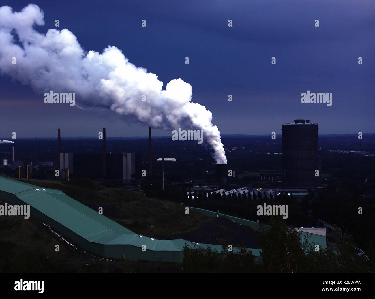 Waschberg hi-res stock photography and images - Alamy