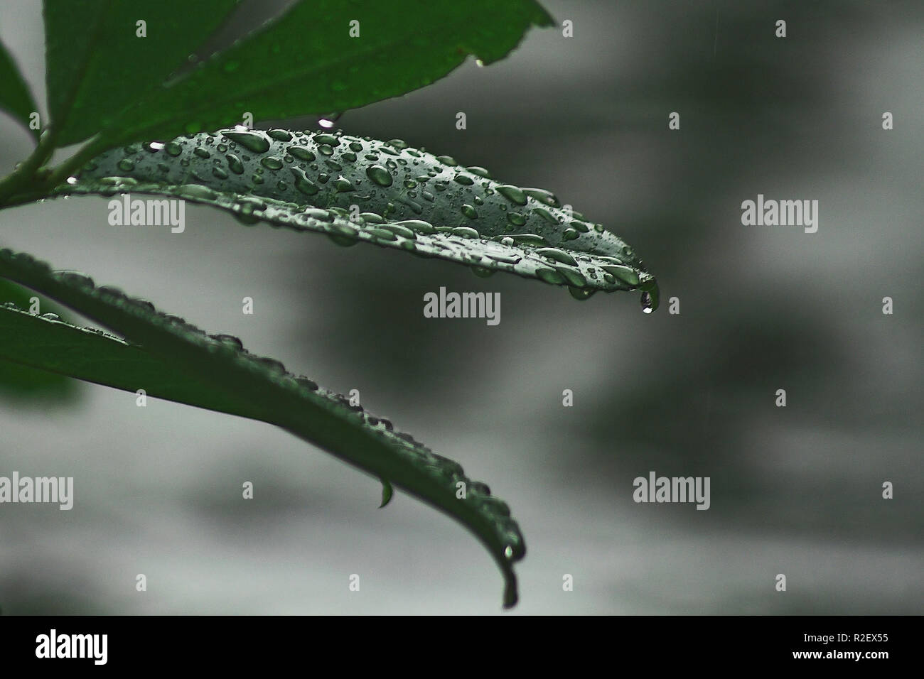 Summer weather 2005 hi-res stock photography and images - Alamy