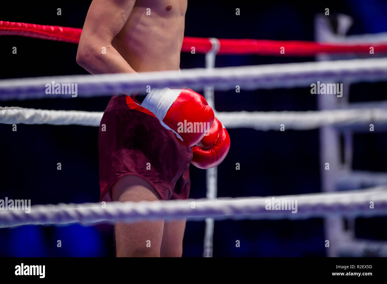 hands of fighter boxing in gloves lays ropes of ring Stock Photo - Alamy