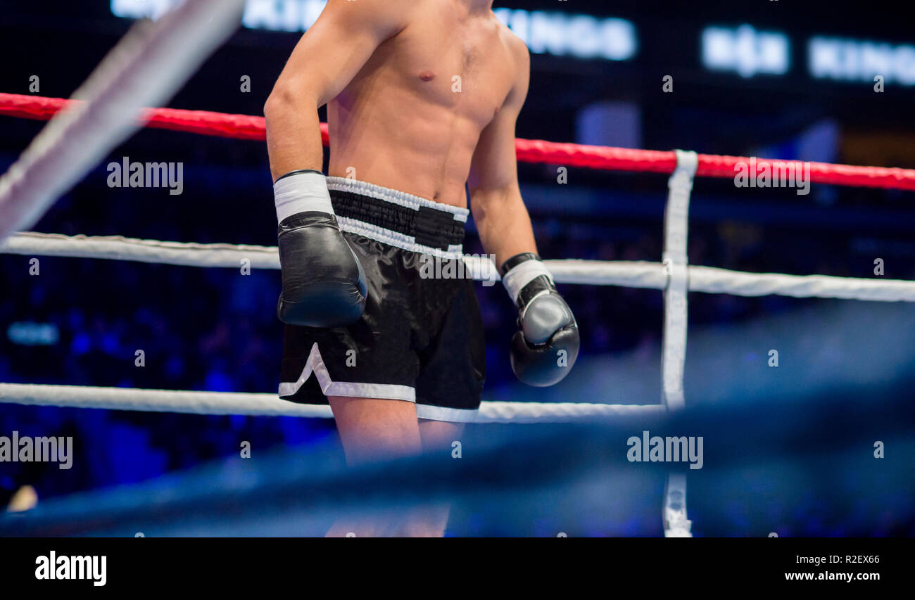 hands of fighter boxing in gloves lays ropes of ring Stock Photo - Alamy