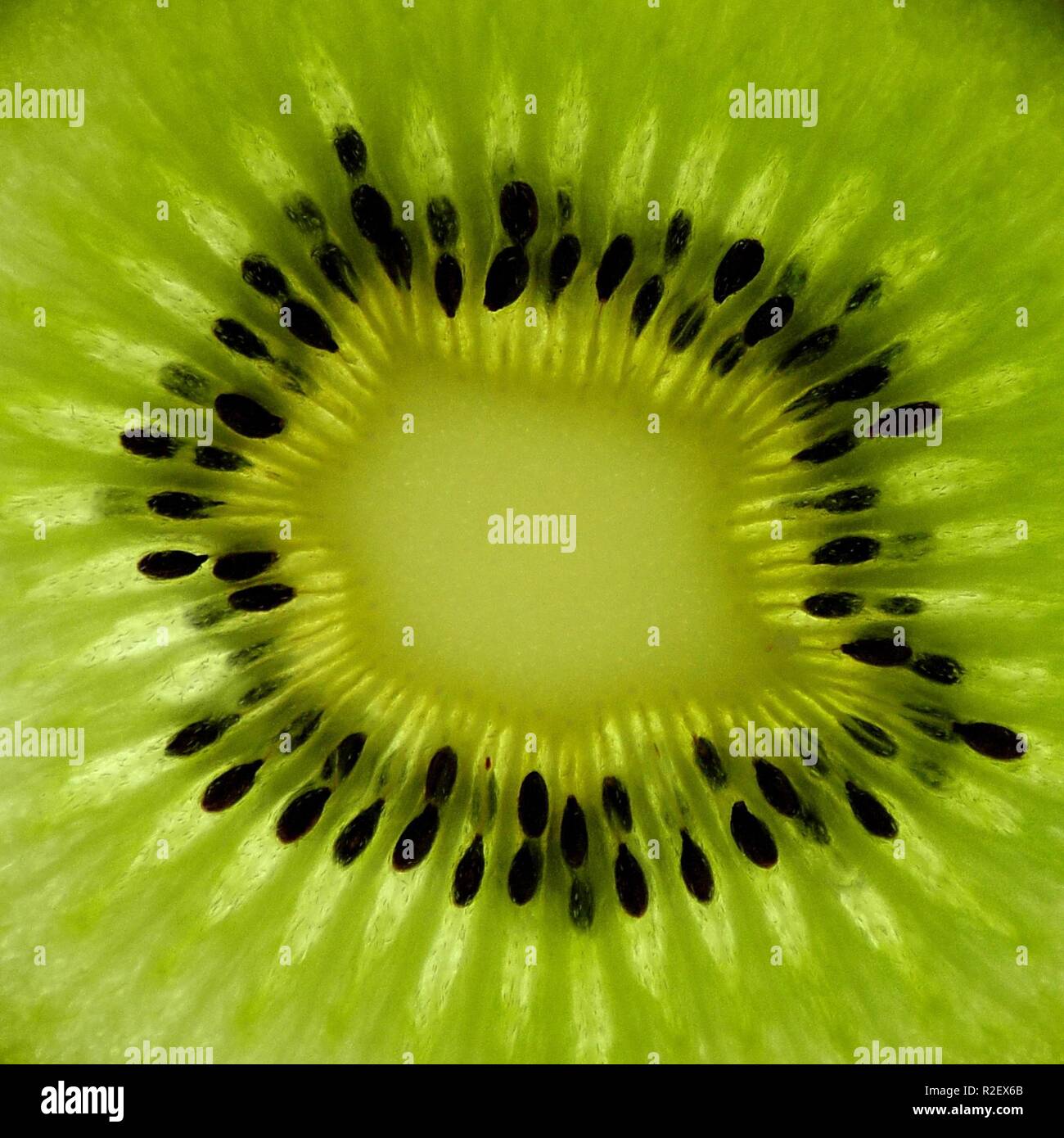 Practical square hi-res stock photography and images - Alamy