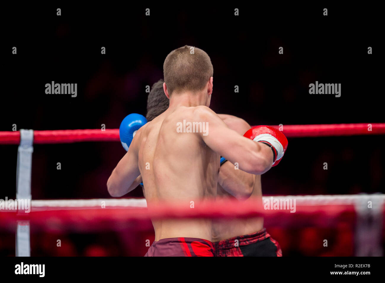 Men kickboxing. Two confident men kickboxing on the ring Stock Photo ...
