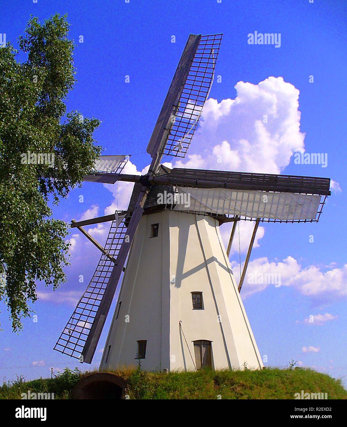 Wing windmill wing mills grind hi-res stock photography and images - Alamy