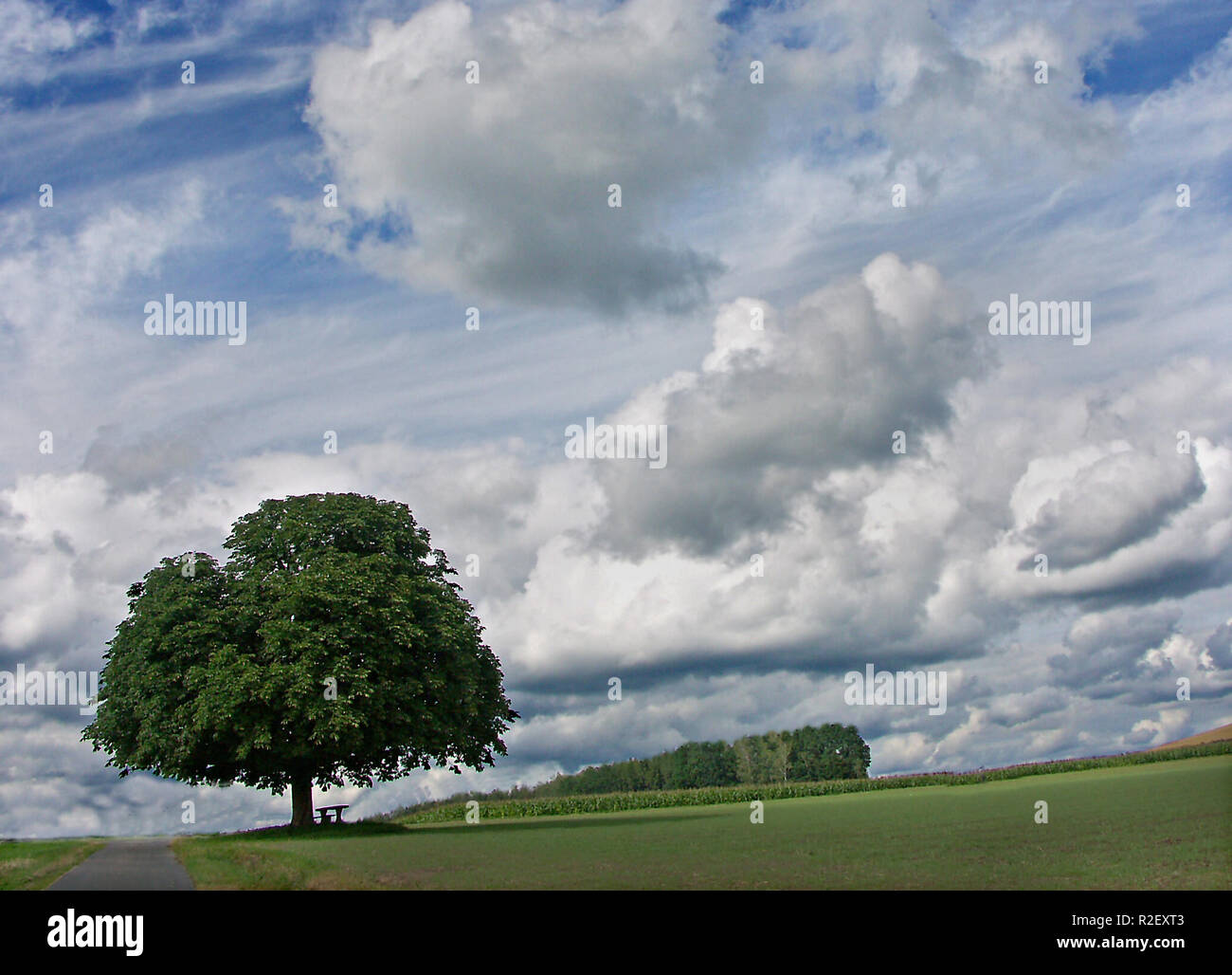 Chestnut walk hi-res stock photography and images - Alamy