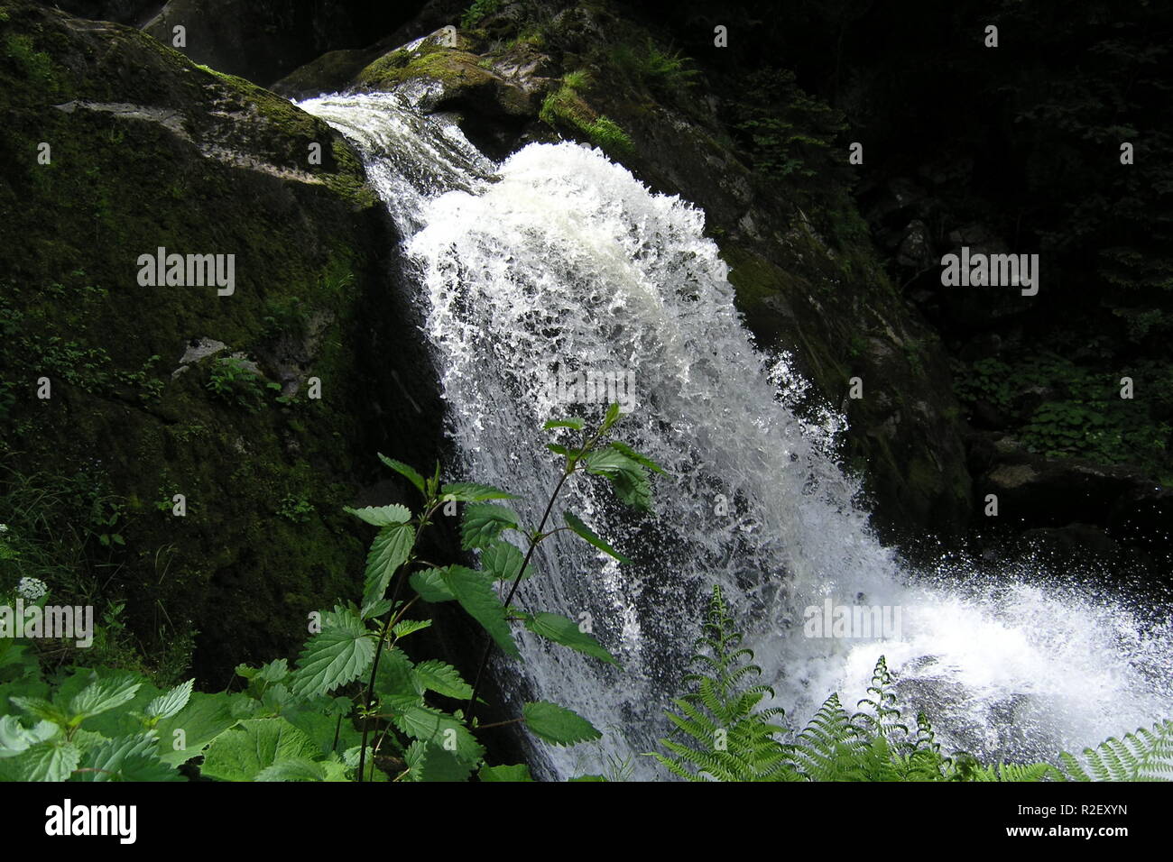 Triberger wasserfall hi-res stock photography and images - Alamy