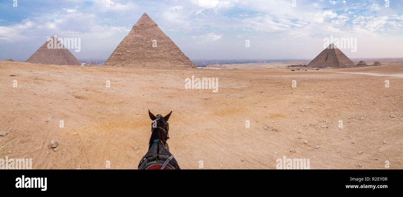 Evening desert and Giza pyramids with a horse on foreground, no ...
