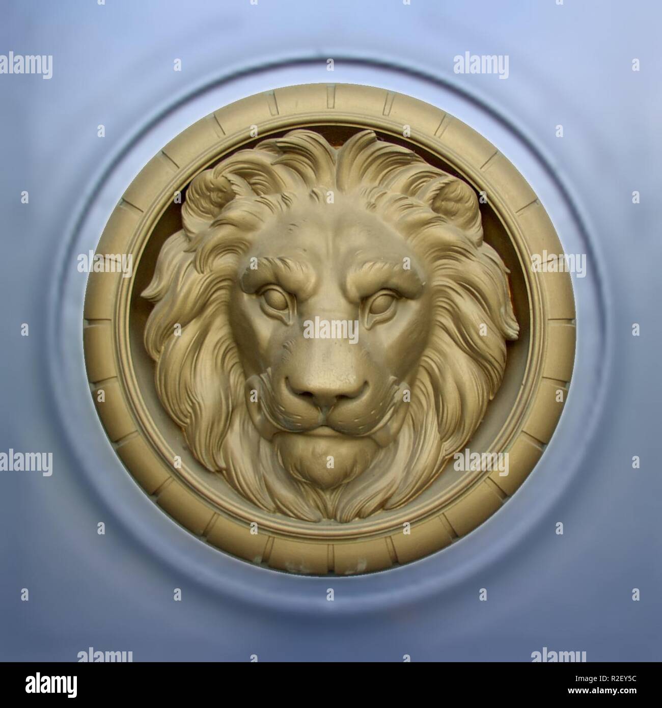 Cat justice hi-res stock photography and images - Alamy