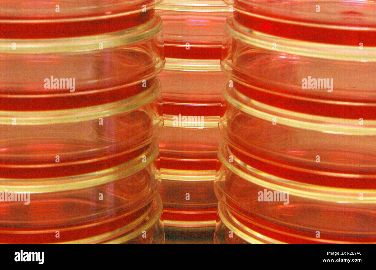 Molekularbiologie hi-res stock photography and images - Alamy