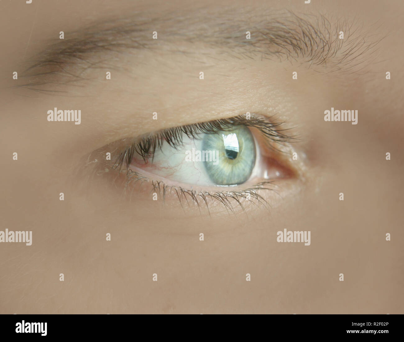 line of sight Stock Photo - Alamy