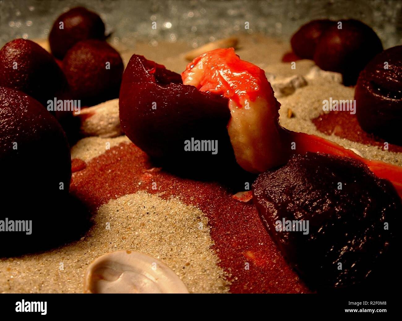 Blood worm beach hi-res stock photography and images - Alamy