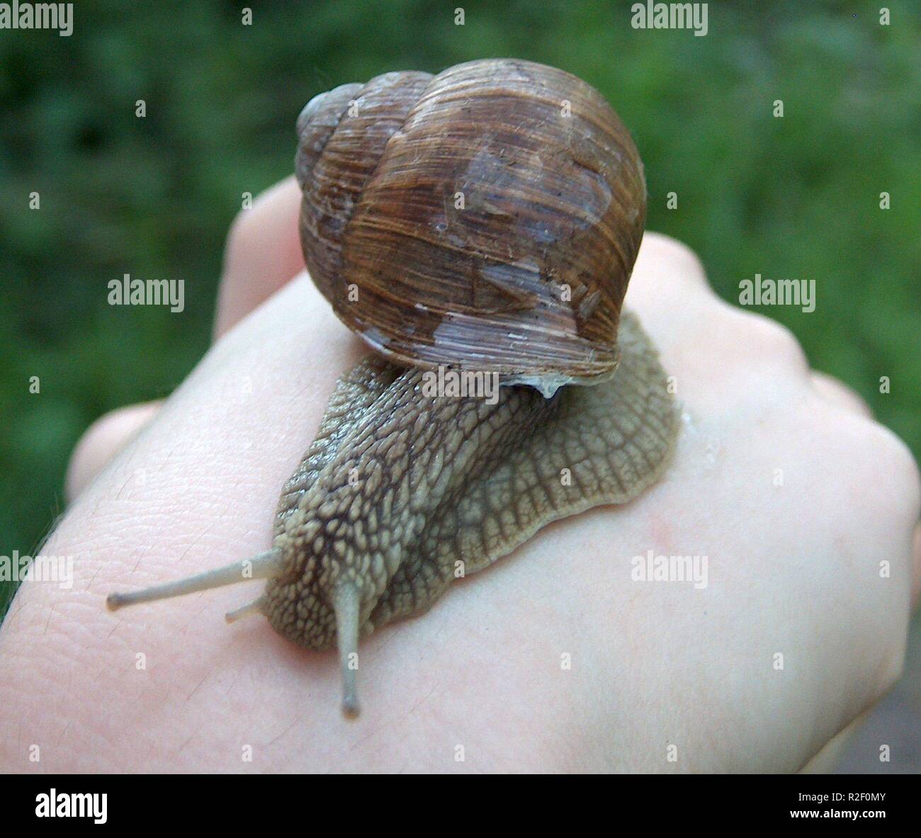 Obvious view hi-res stock photography and images - Alamy