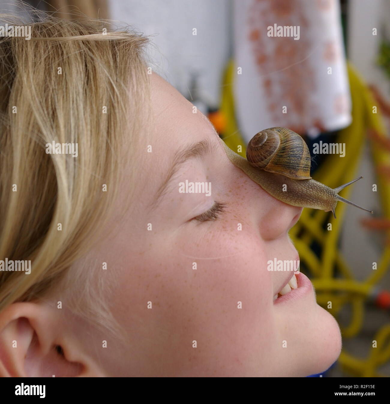 two sweet snails Stock Photo - Alamy