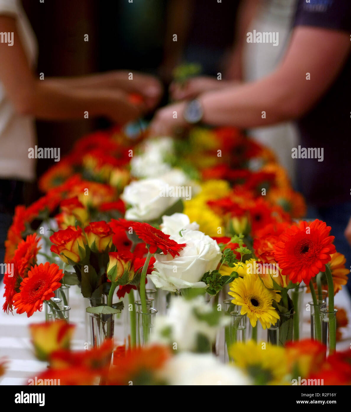 Preparation direct hi-res stock photography and images - Alamy