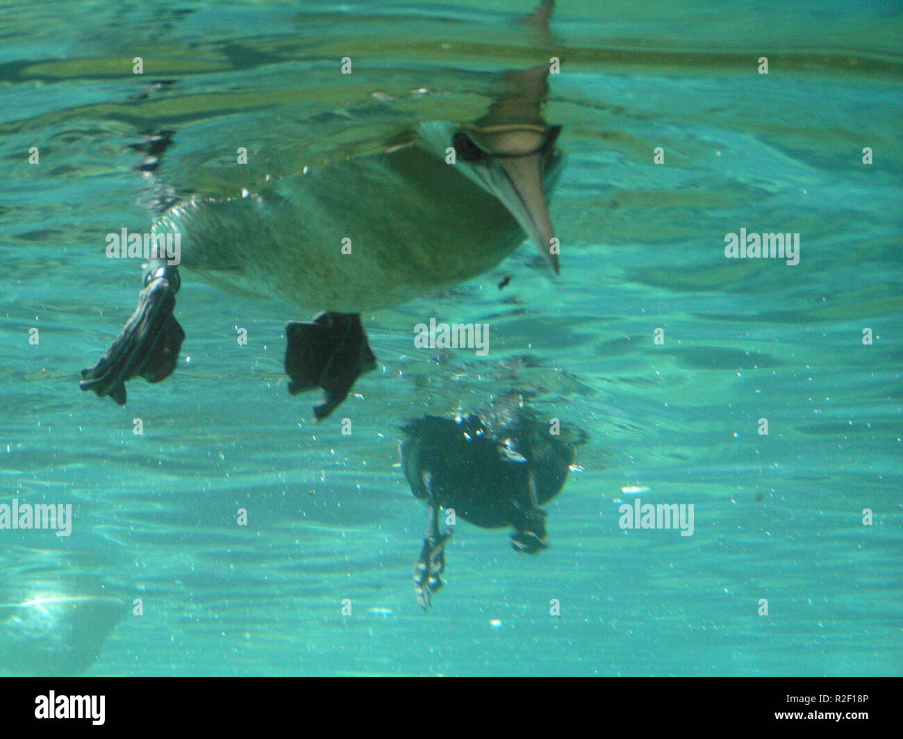 Look again hi-res stock photography and images - Alamy