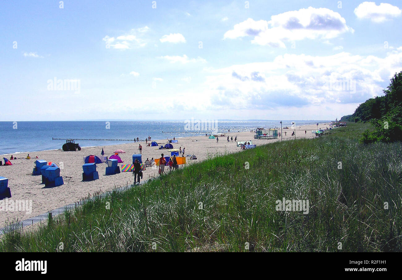 at the beach Stock Photo - Alamy