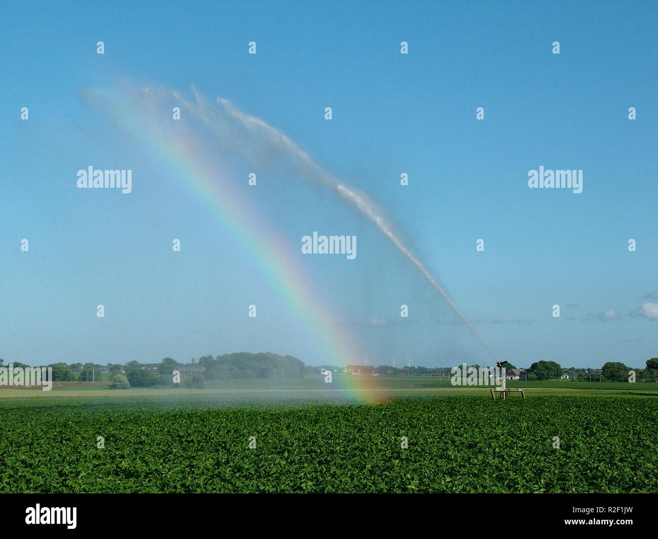 Concomitant hi-res stock photography and images - Alamy