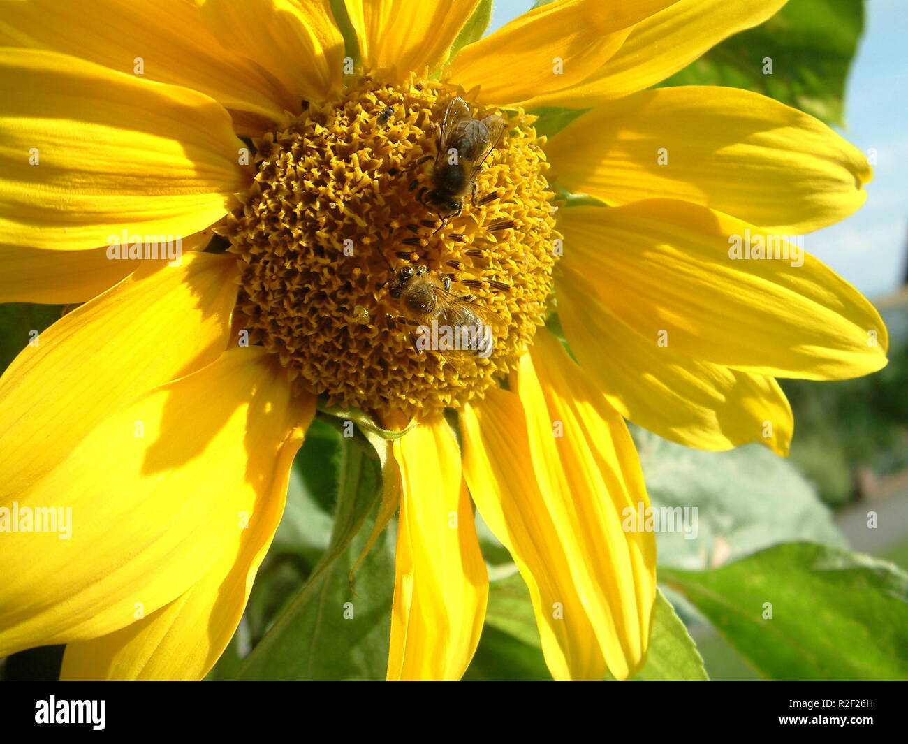 Two cores hi-res stock photography and images - Alamy