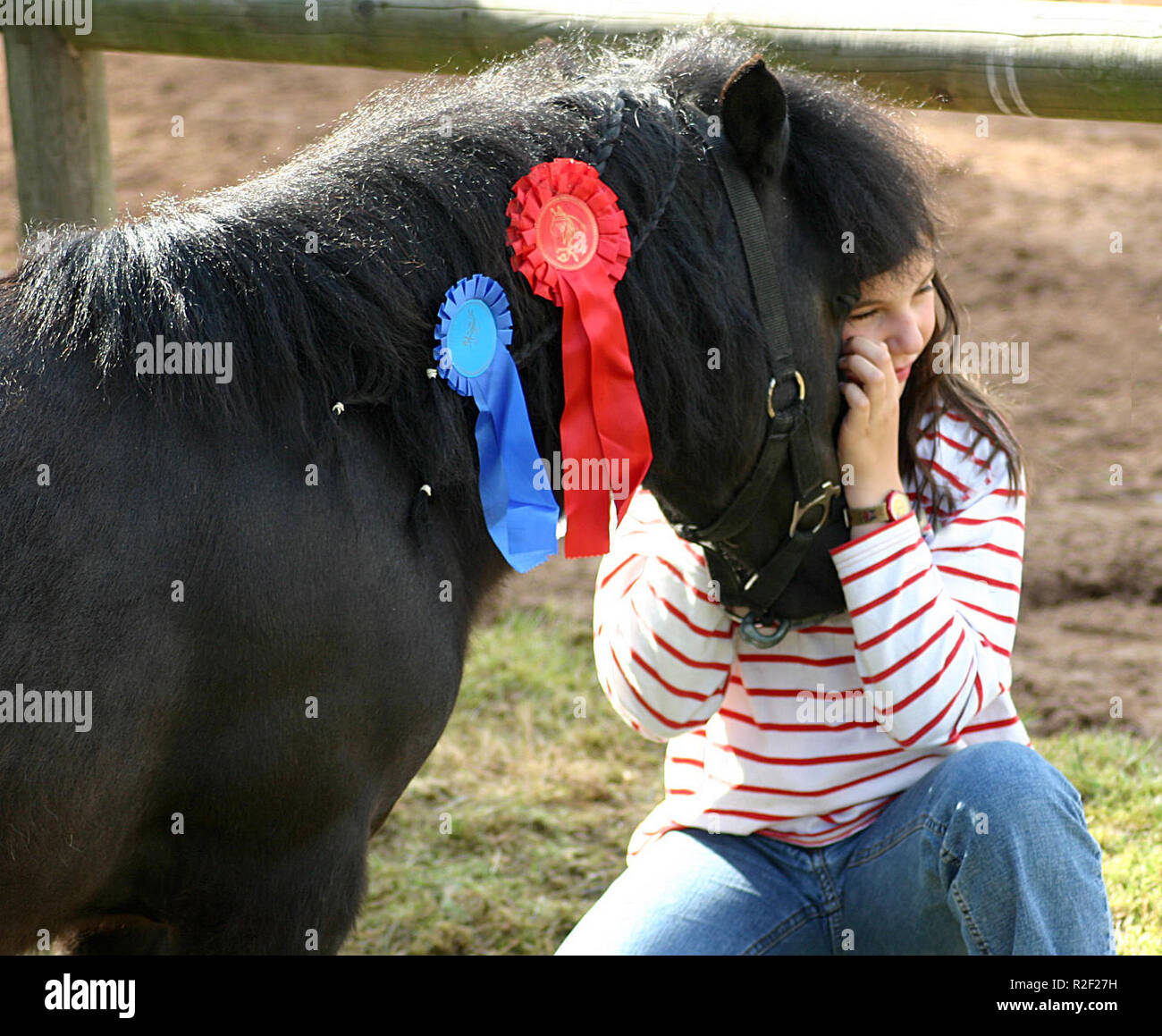 Girl cuddling pony hi-res stock photography and images - Alamy