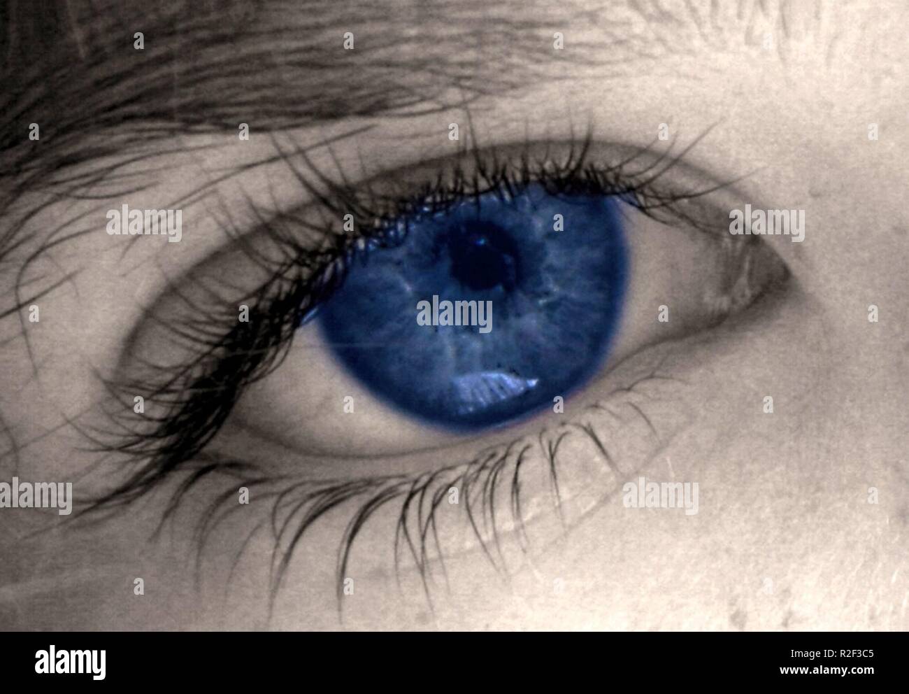 The eyes are the window of the soul hi-res stock photography and images ...