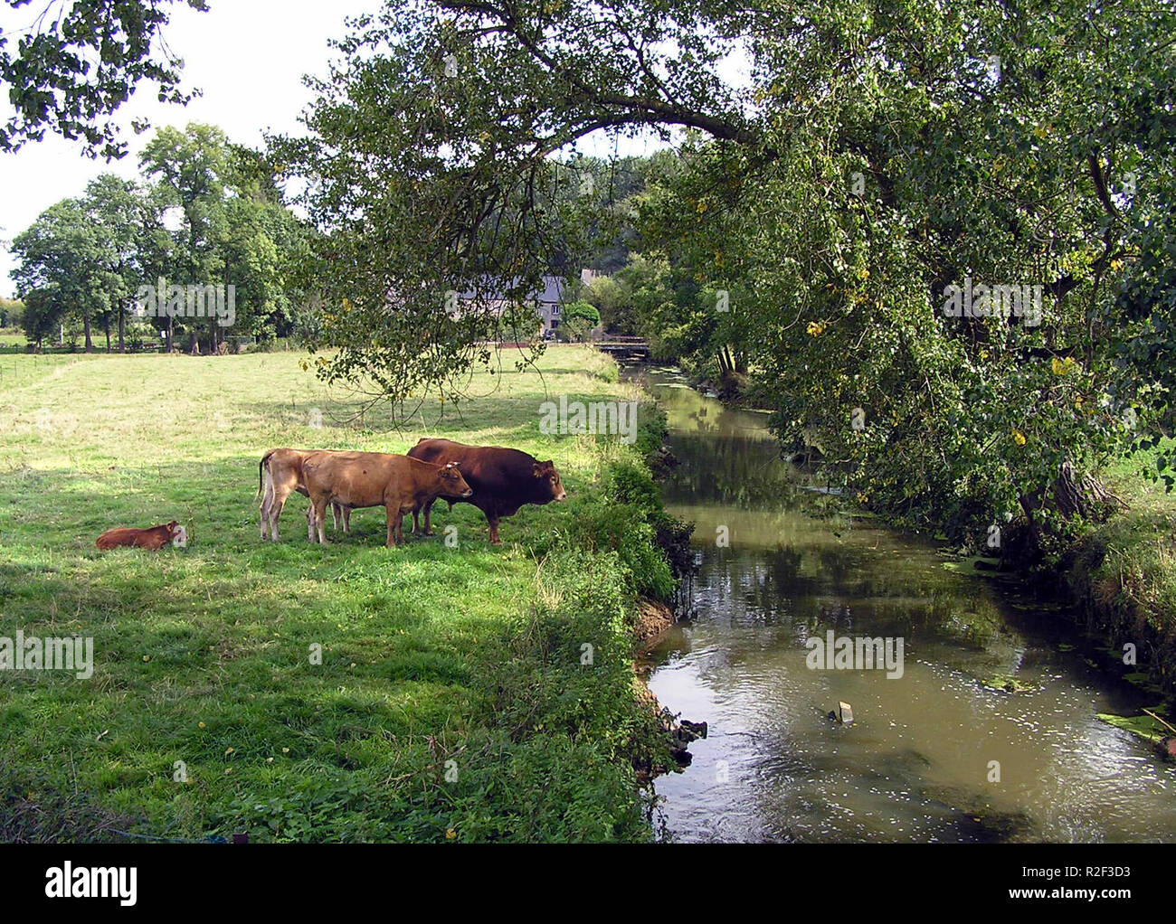 The family idyll hi-res stock photography and images - Alamy
