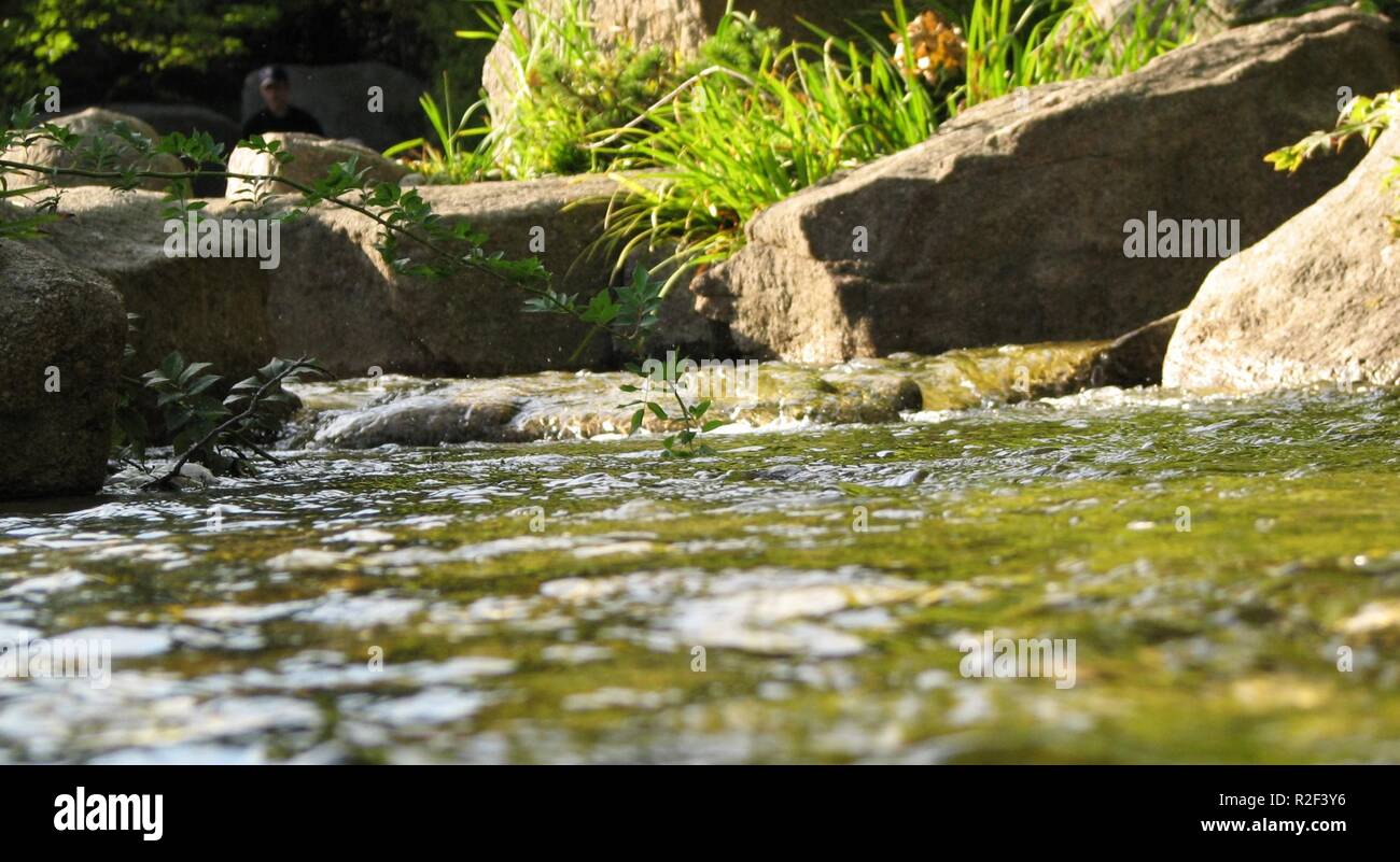 Wasserstrom hi-res stock photography and images - Alamy