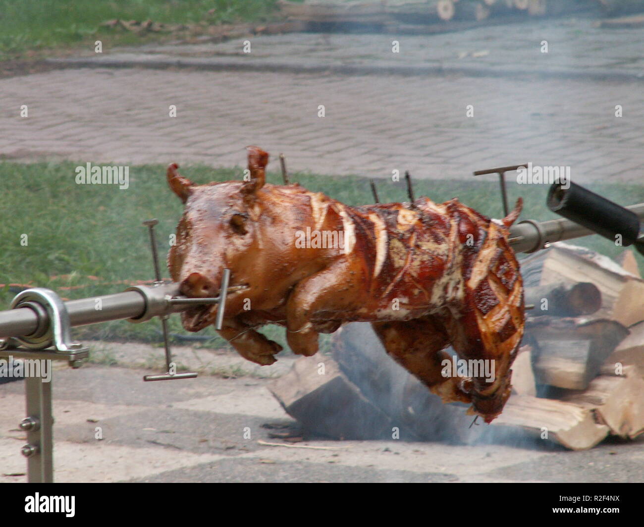 pig on the spit Stock Photo - Alamy