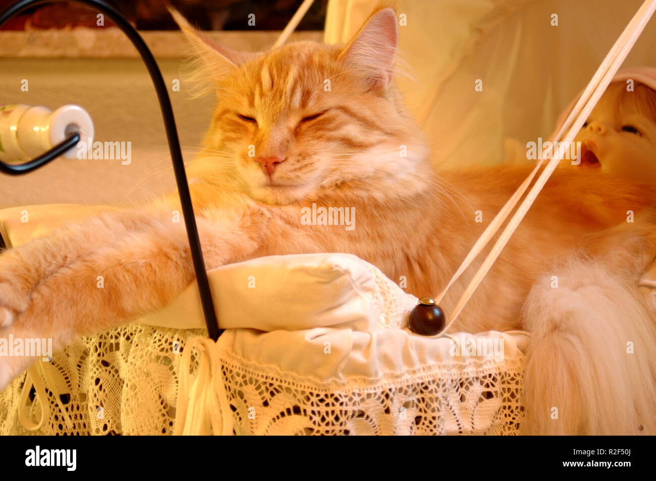 real and unreal Stock Photo - Alamy