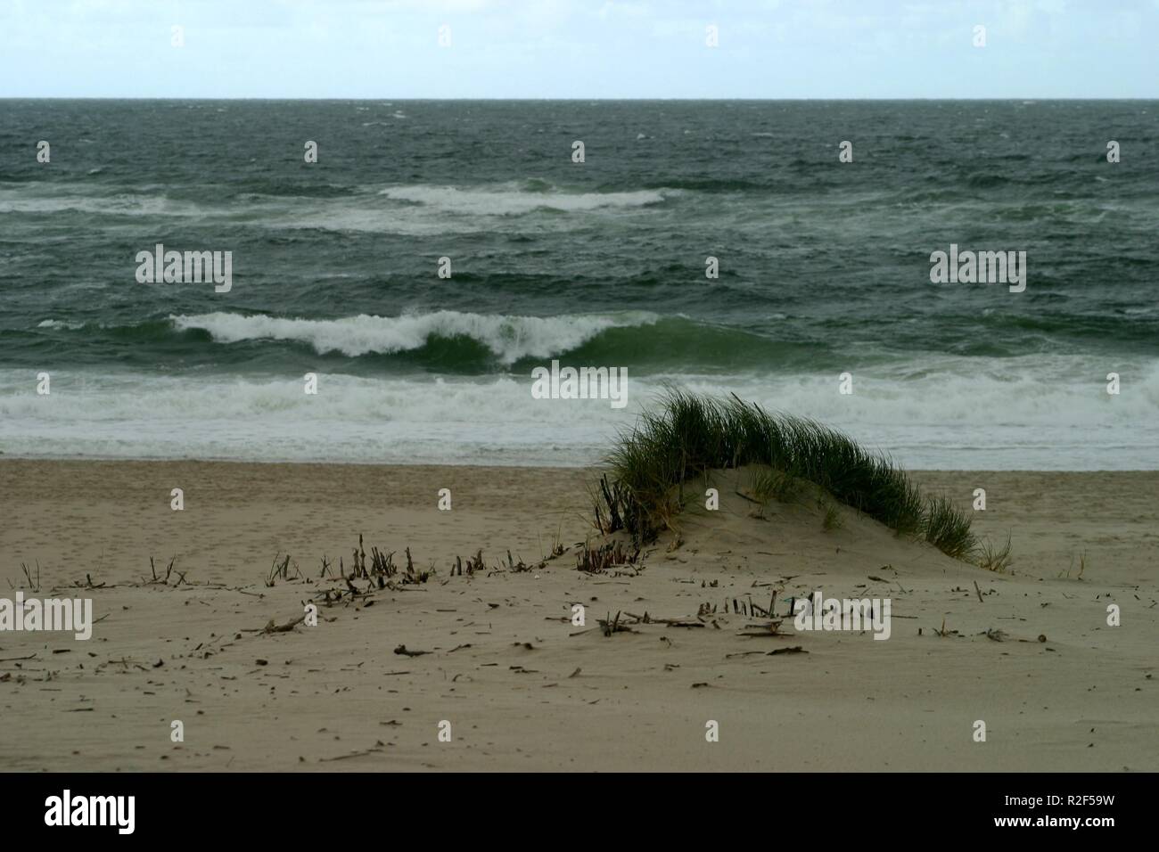 Wanderda ne hi-res stock photography and images - Alamy