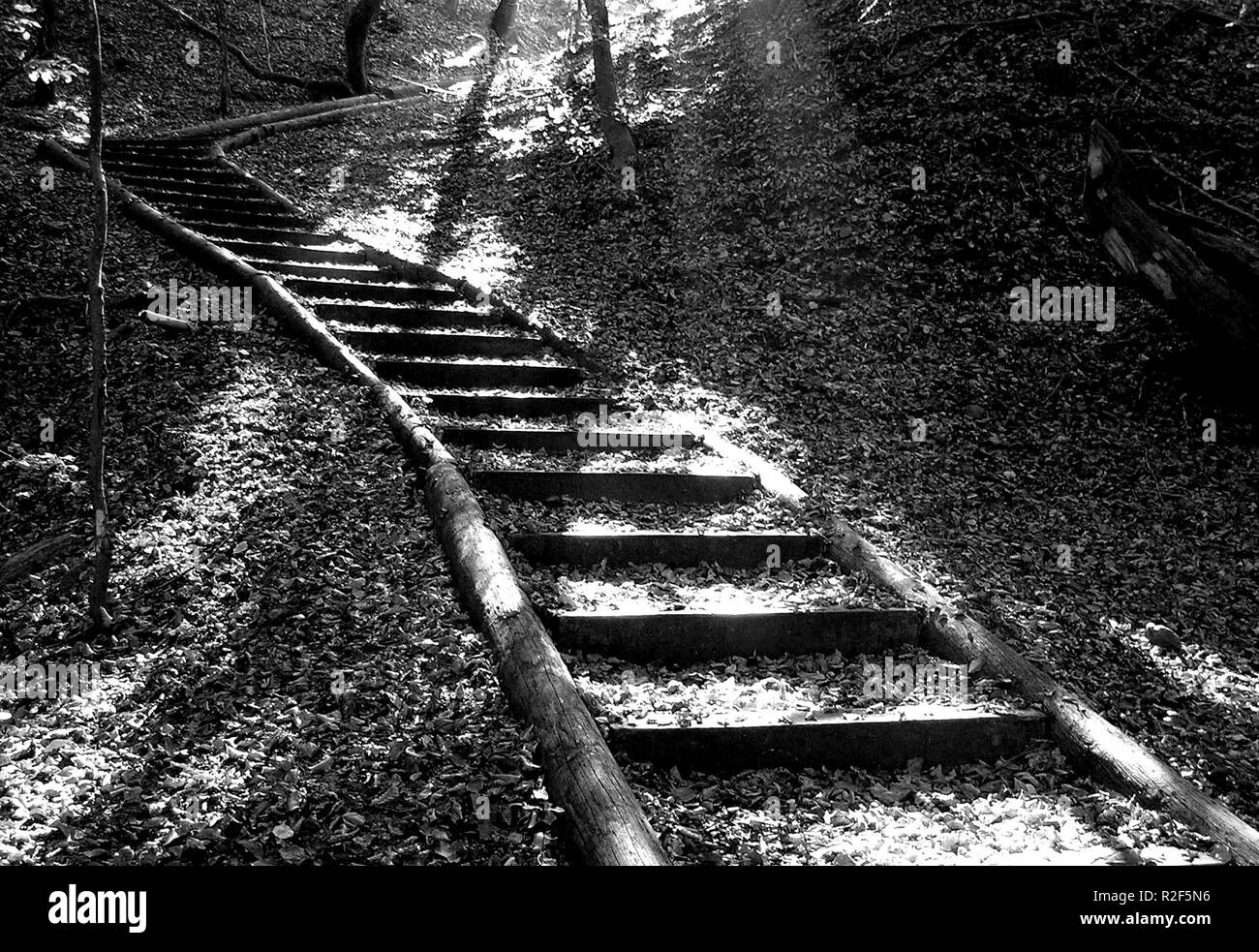 steps into the light Stock Photo - Alamy