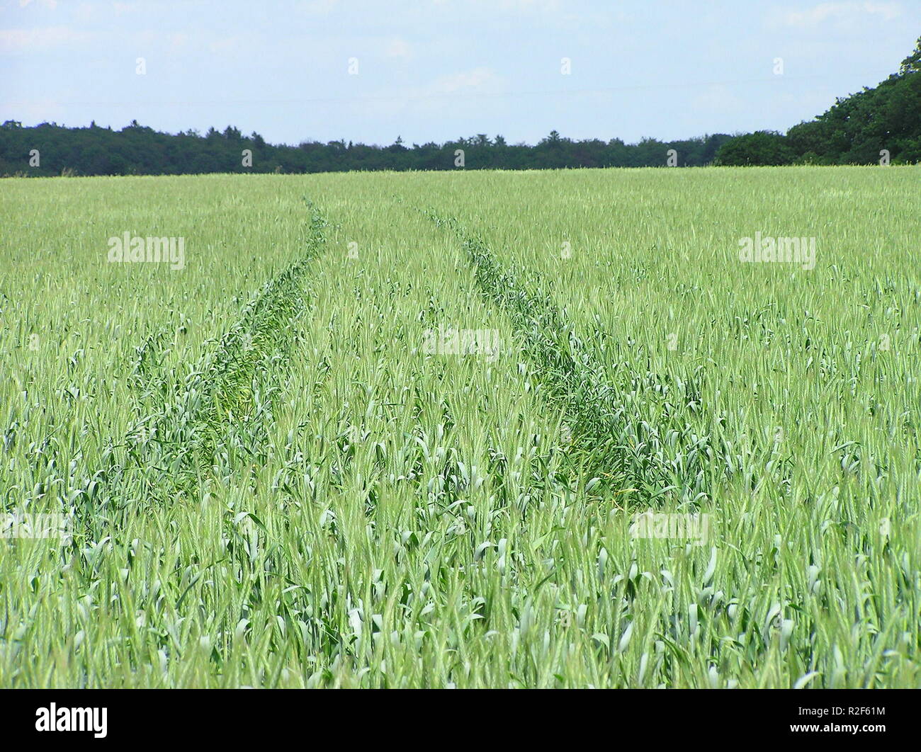 Track wheel hi-res stock photography and images - Alamy