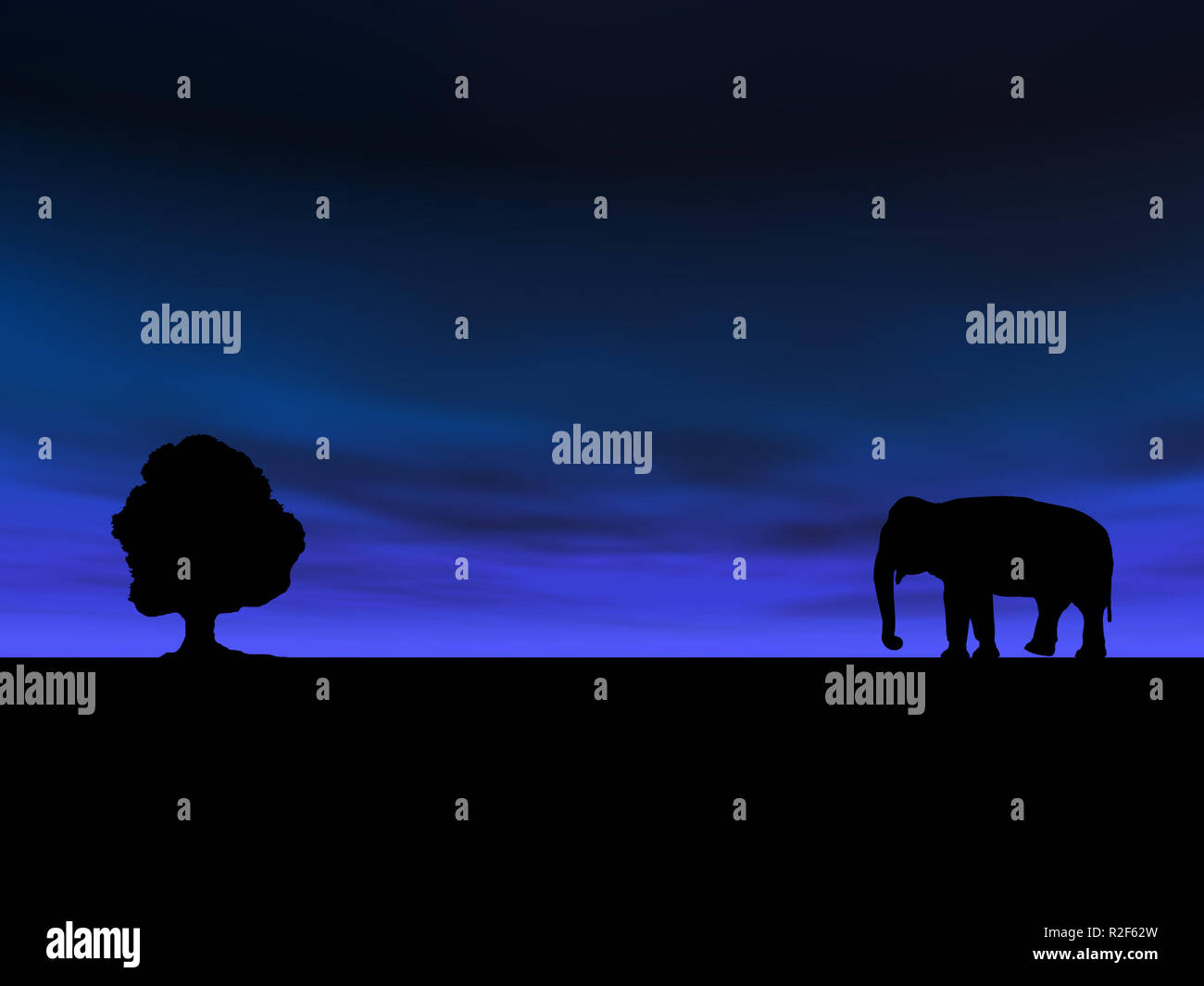 Elephant slow motion hi-res stock photography and images - Alamy