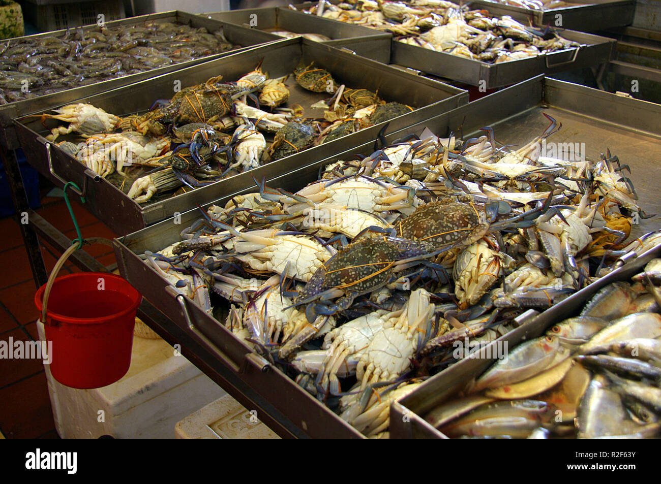 Shell singapore hi-res stock photography and images - Alamy