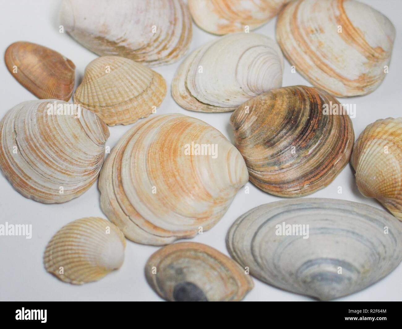 High dive dry hi-res stock photography and images - Alamy