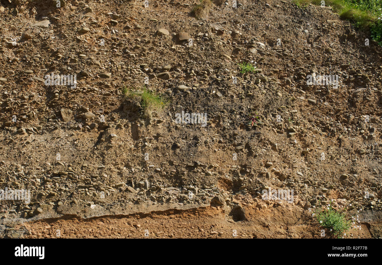 Sedimentary rock layers in cliff face, North Devon, England Stock Photo ...