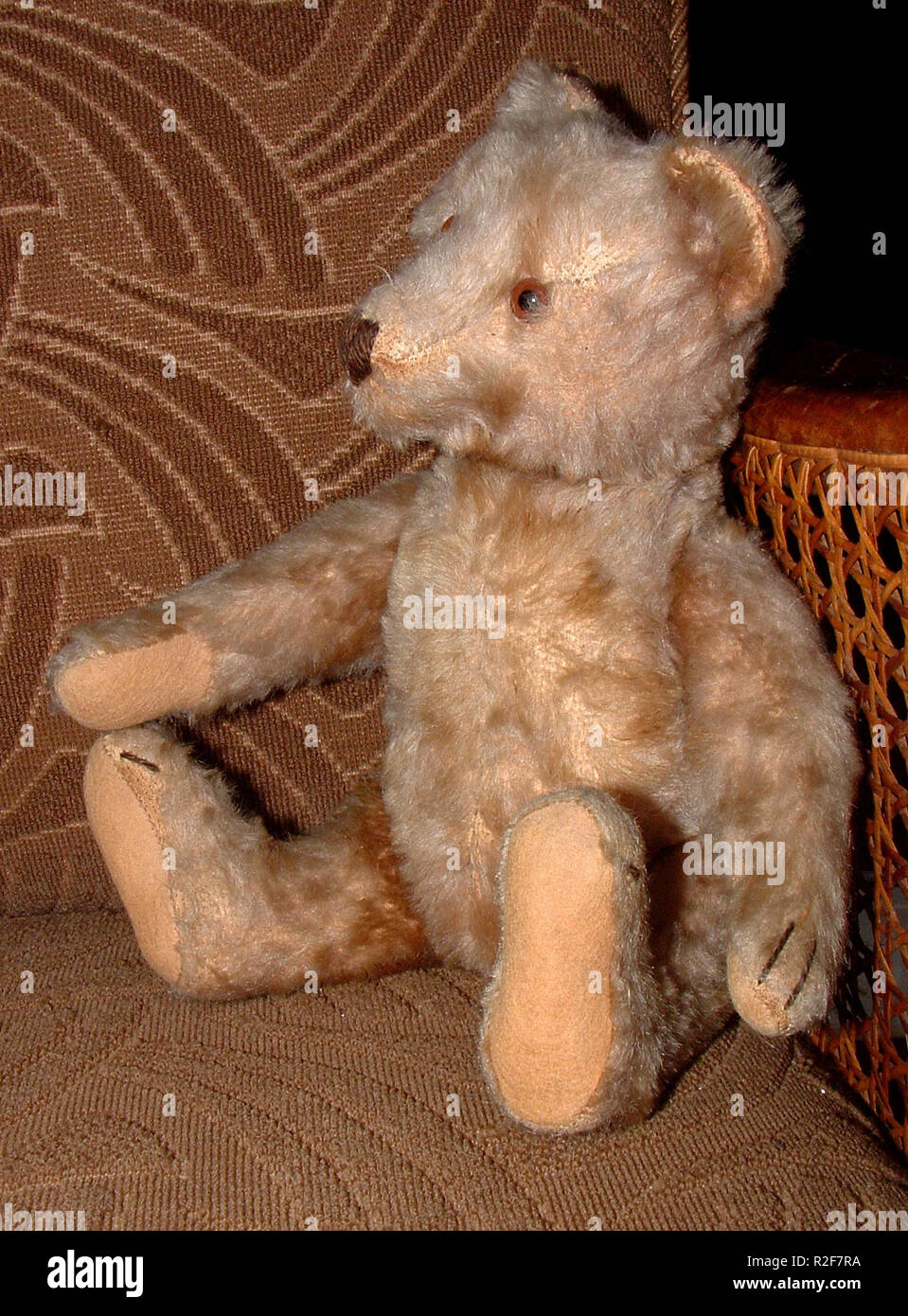 Steiff Teddy Bear High Resolution Stock Photography and Images - Alamy