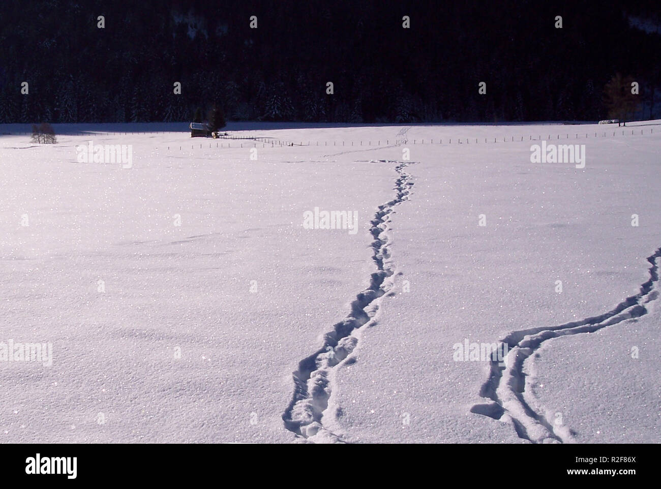 two tracks in the snow Stock Photo - Alamy