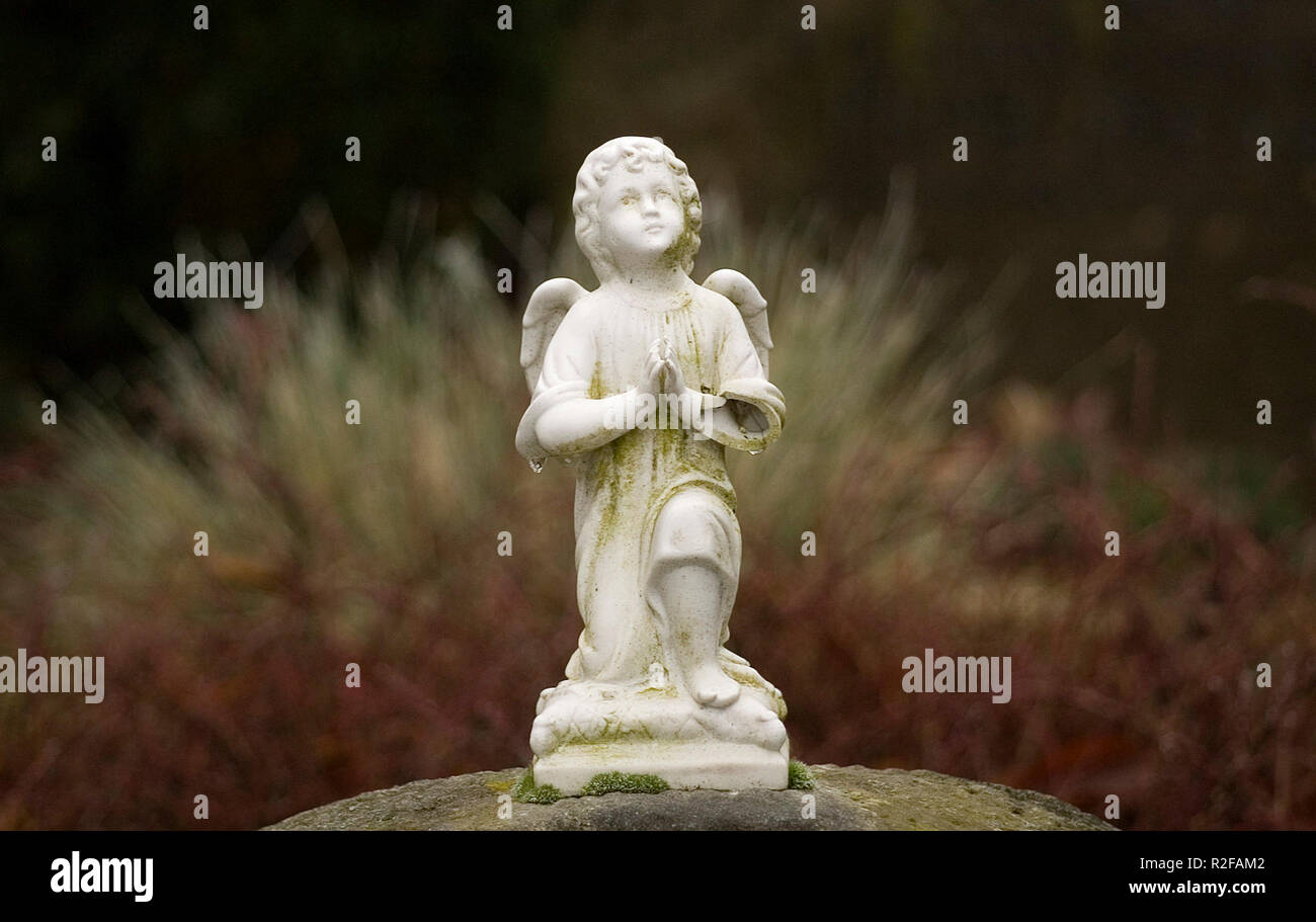 The angel of concern hi-res stock photography and images - Alamy