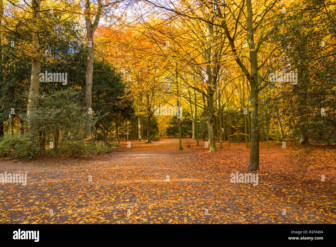 Stadtpark park hi-res stock photography and images - Alamy