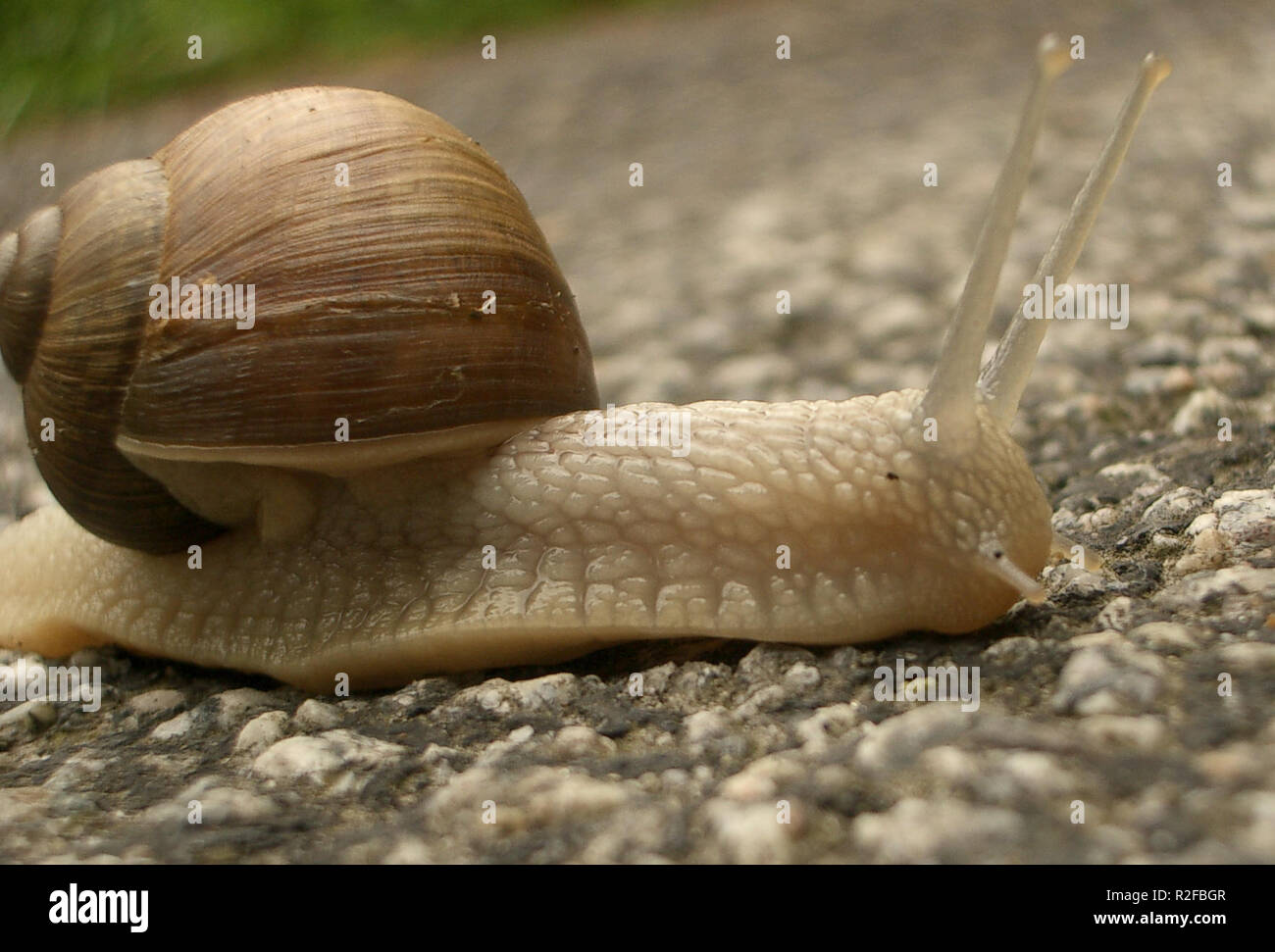 Screw movement hi-res stock photography and images - Alamy