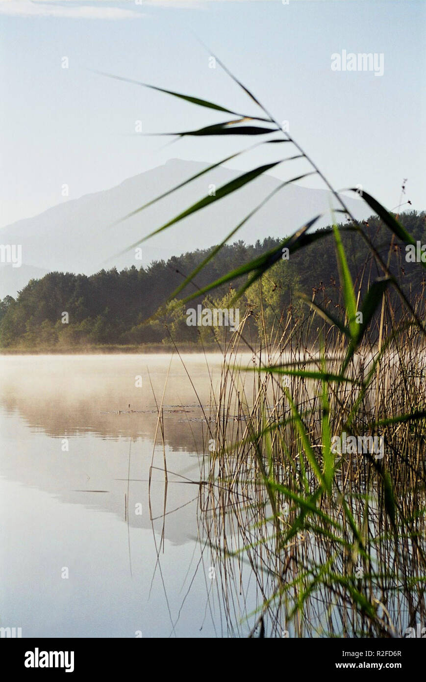 Turnersee High Resolution Stock Photography and Images - Alamy