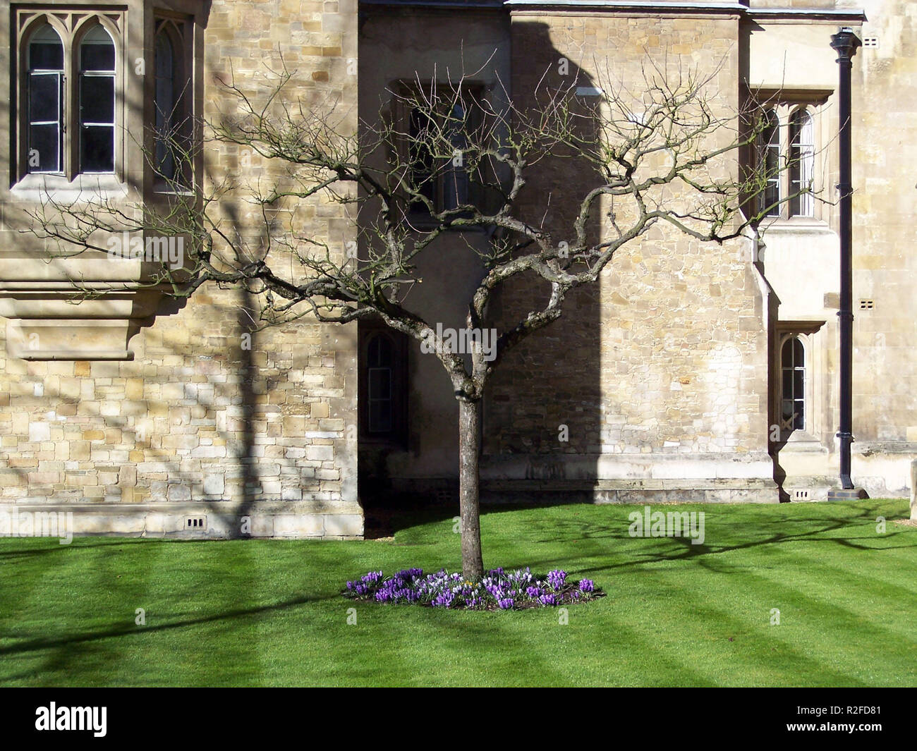 the spring comes Stock Photo - Alamy