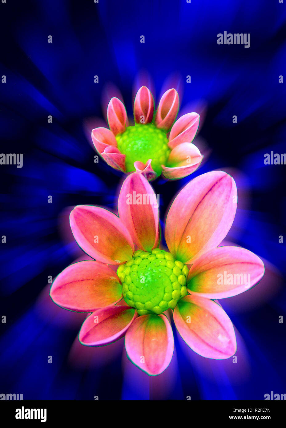 Garish light hi-res stock photography and images - Alamy