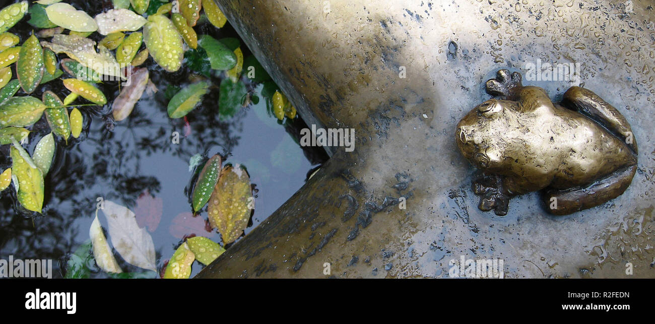 do not be a frog Stock Photo - Alamy