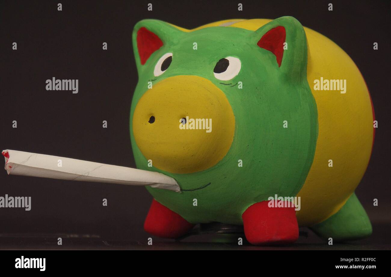 Reggaeschwein hi-res stock photography and images - Alamy