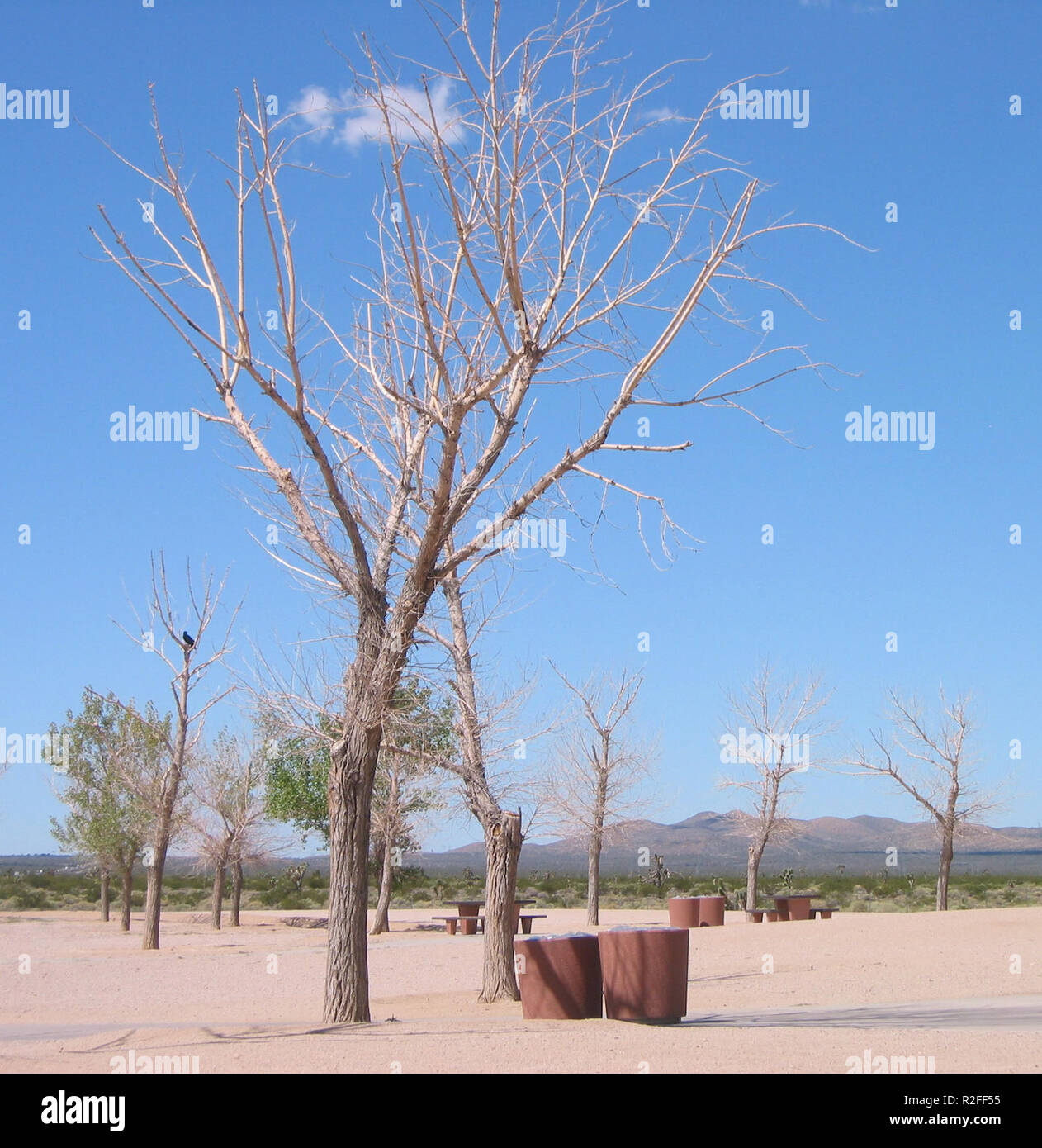 rest area in the nevada desert 2 Stock Photo - Alamy