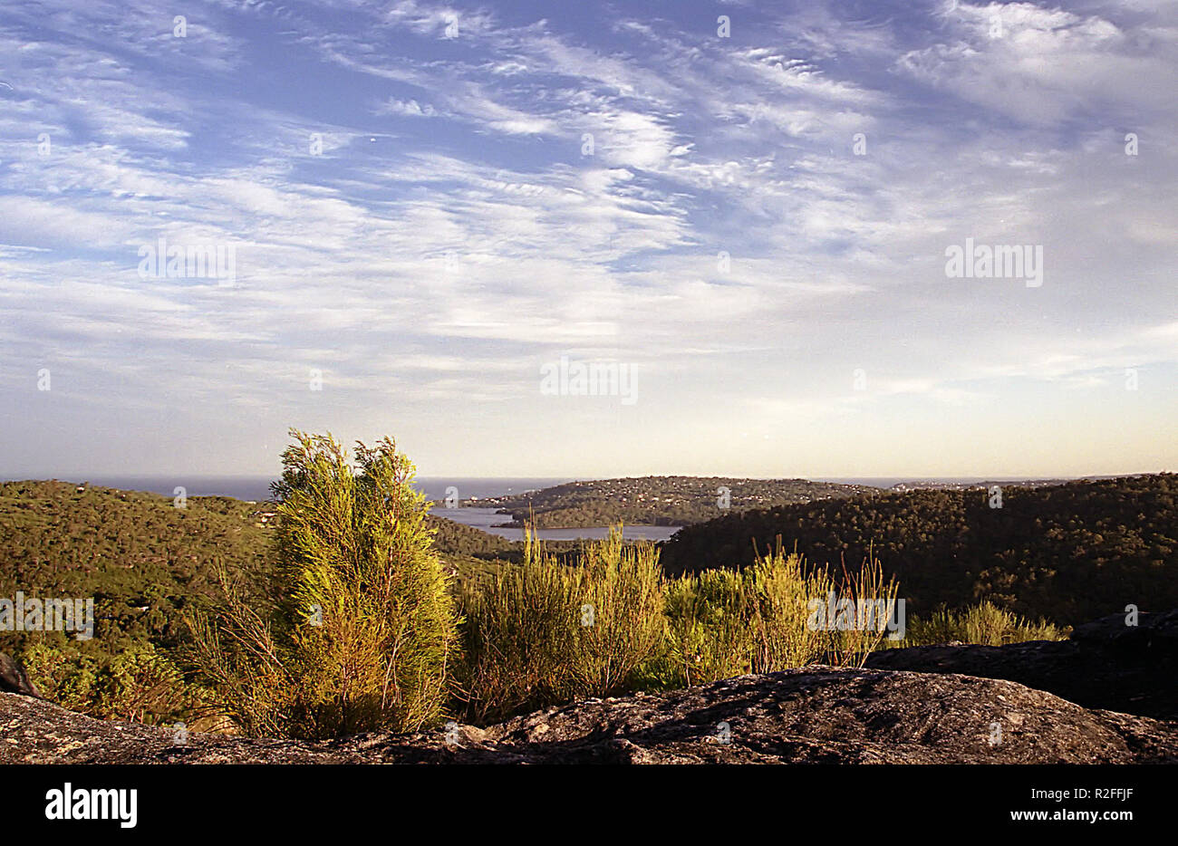 bush and narrabeen lagoon Stock Photo - Alamy
