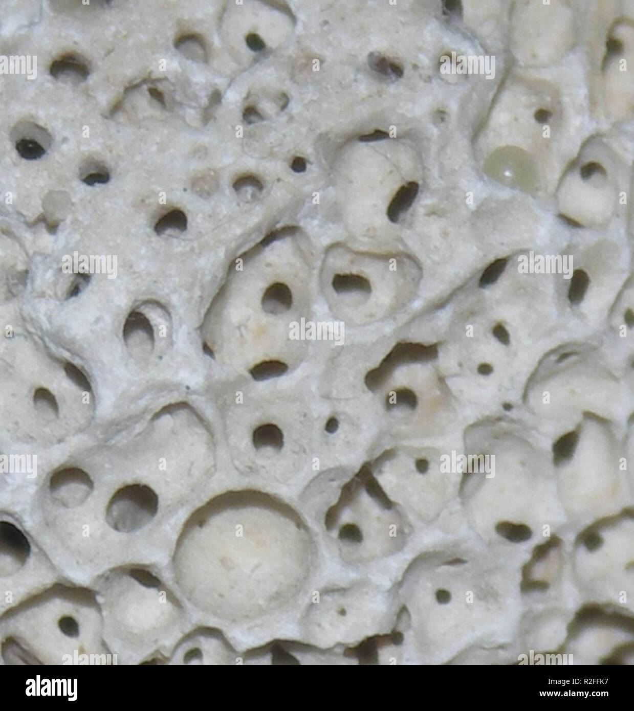 Perforated stone hi-res stock photography and images - Alamy