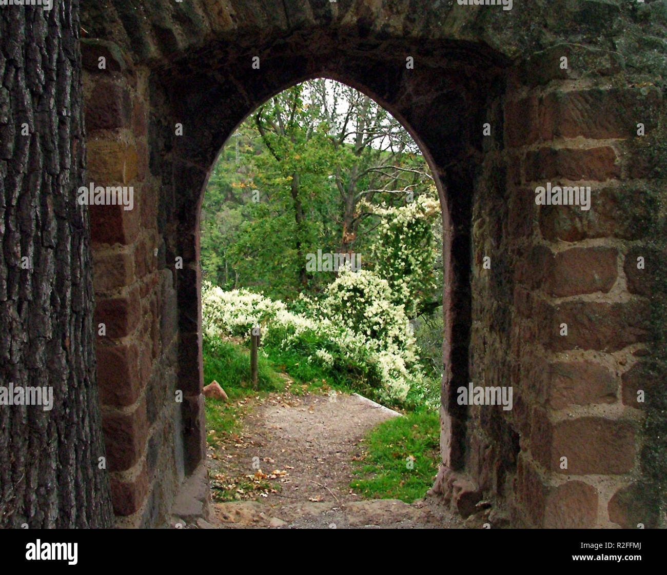 Neuleiningen castle hi-res stock photography and images - Alamy