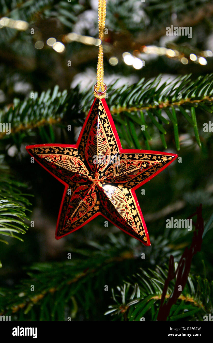 an asterisk on the tree Stock Photo - Alamy